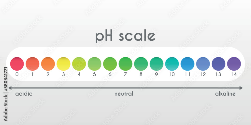 pH value scale. Acid-base balance. Universal indicator.Infographics ...
