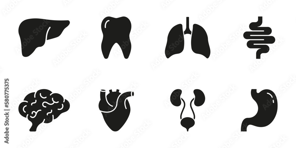 Healthcare Glyph Icon. Internal Organ Anatomy Black Pictogram. Human ...