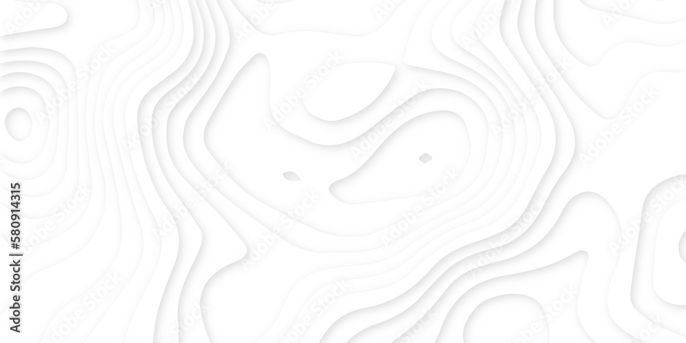 Abstract wavy line 3d paper cut white background. Topographic canyon ...