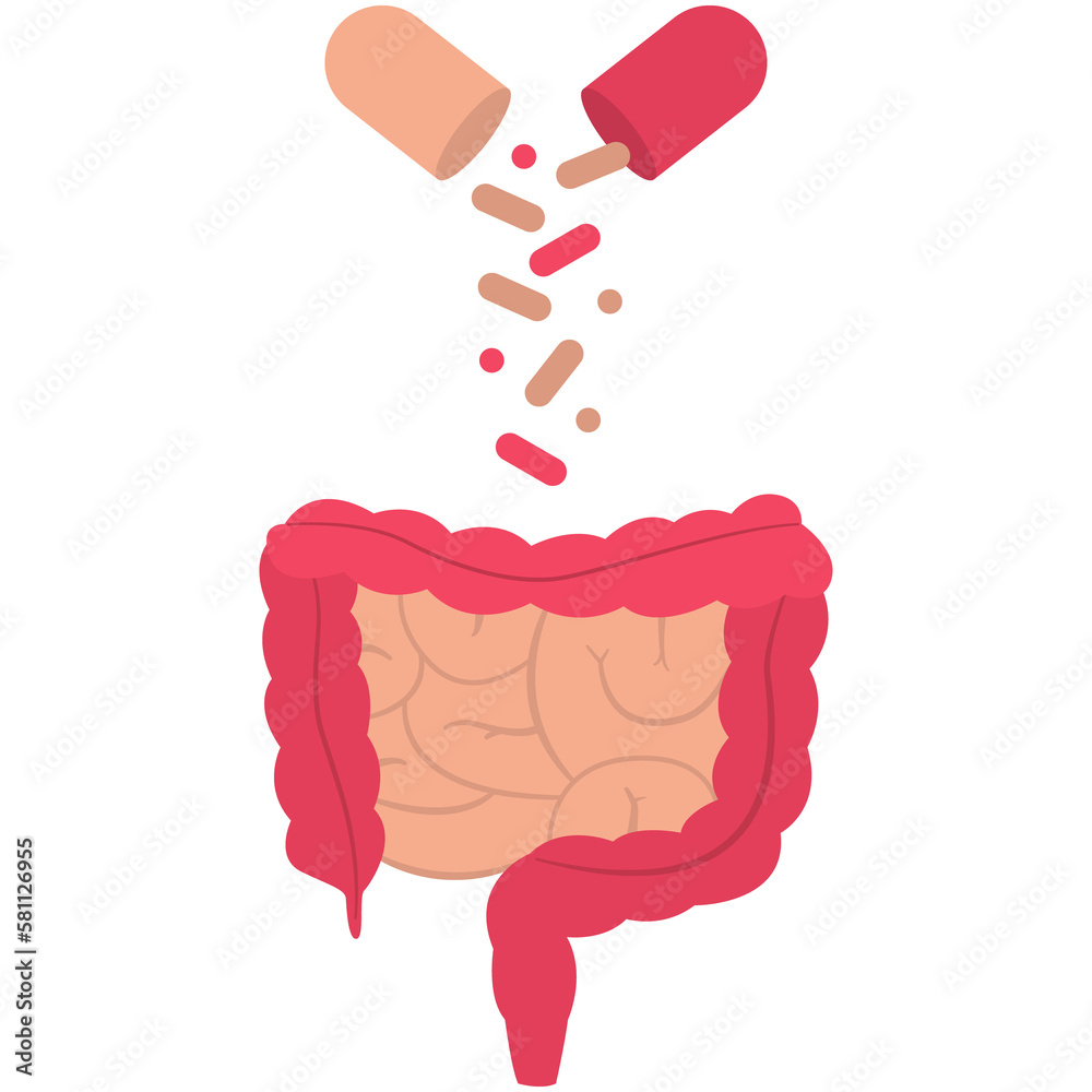Probiotics and medicines for the intestines and digestive system in a ...