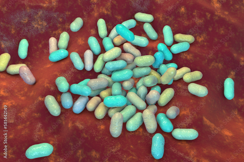 Prevotella bacteria, 3D illustration. Gram-negative anaerobic bacteria ...