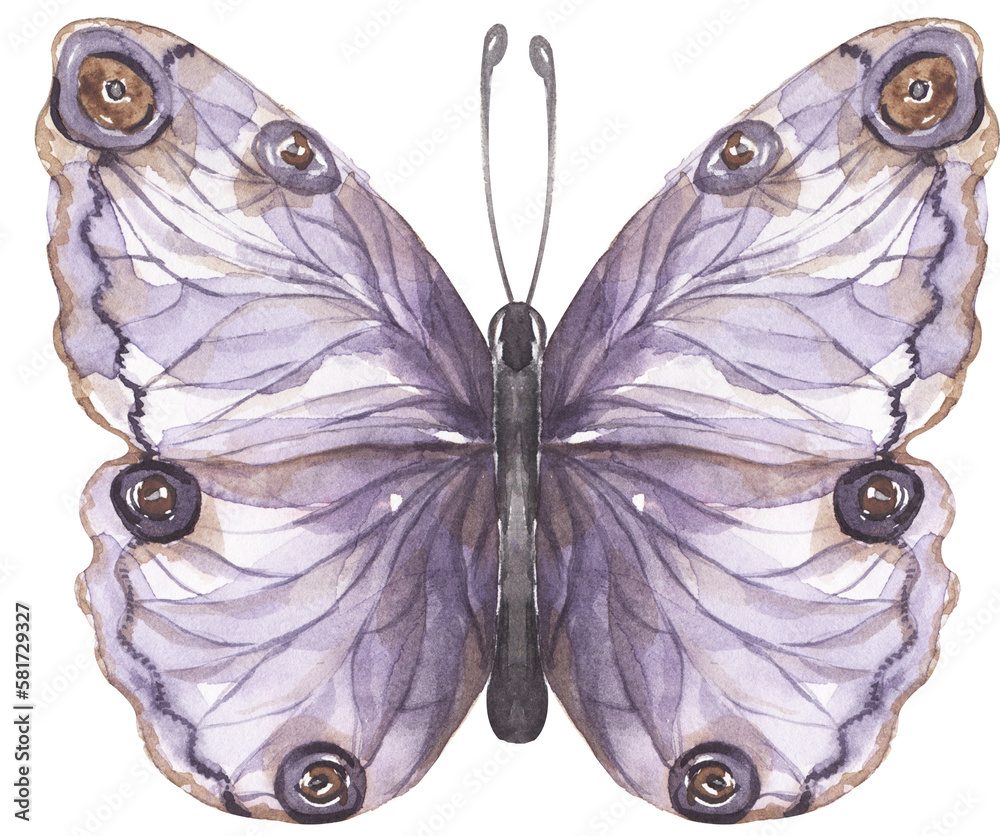 Watercolor violet butterfly illustration, butterfly clipart. garden ...