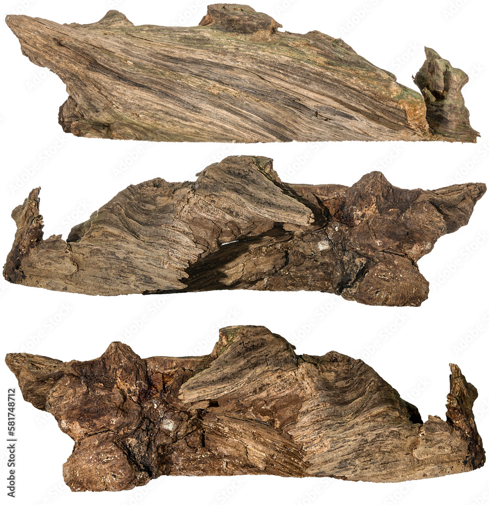 Photo Stock collection of a piece of a root / trunk river wood ...