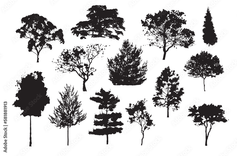 silhouette tree line drawing, Side view, set of graphics trees elements ...