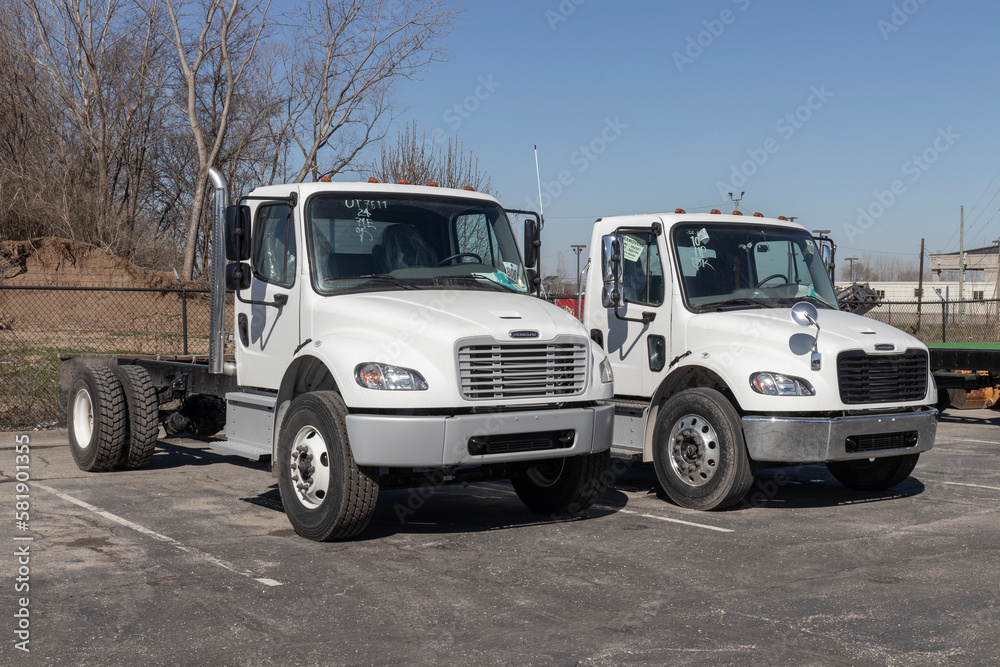 Freightliner Semi Tractor Trailer Big Rig Trucks Lined up for sale ...