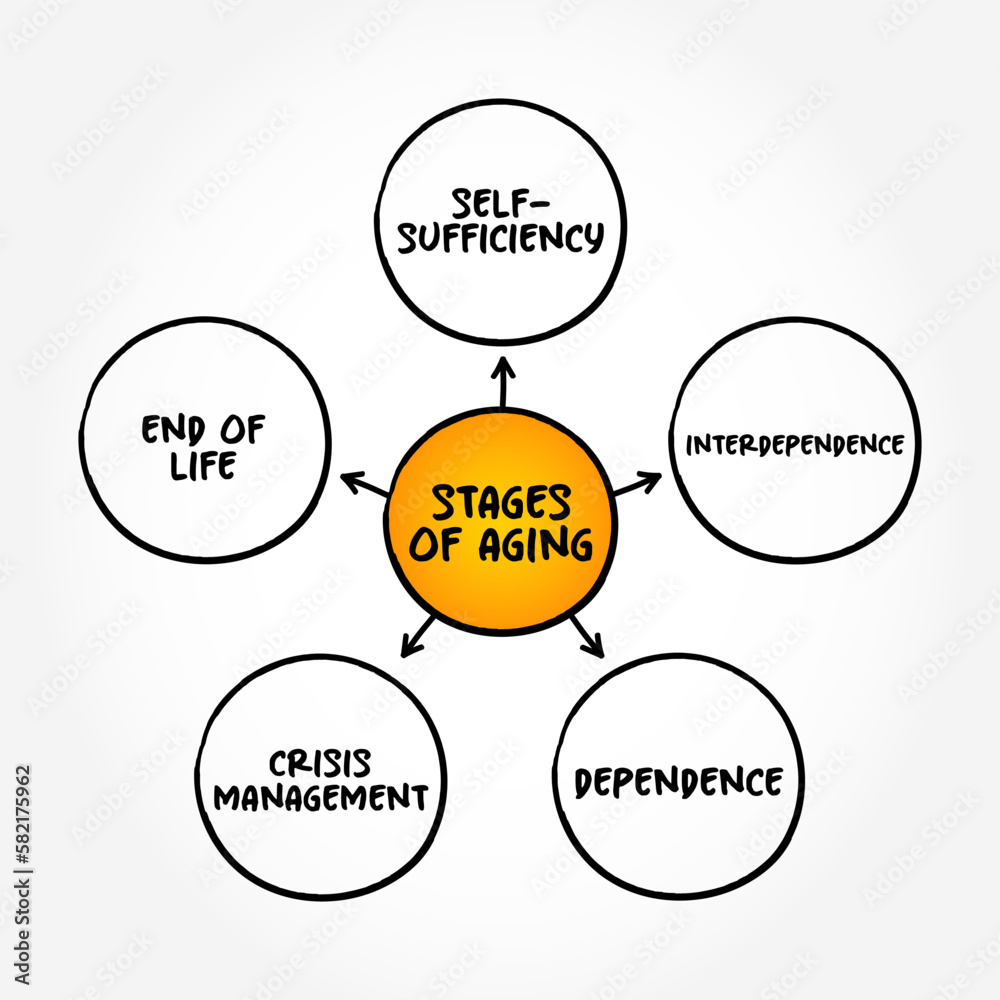 Stages of Aging (process of becoming older), mind map concept for ...