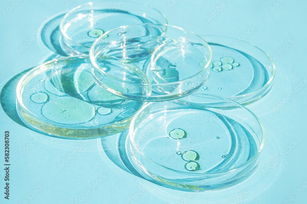 Petri dish. Petri cups with liquid. Set. Chemical elements, oil ...