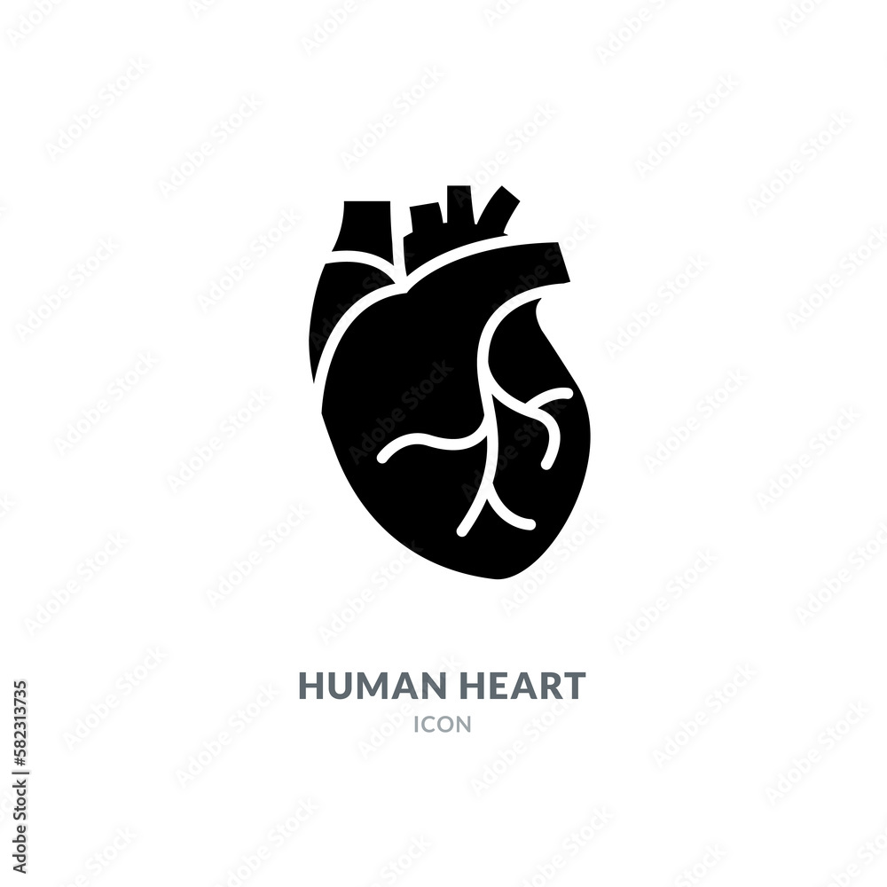 Human heart medical vector desease cardiovascular organ anatomy ...