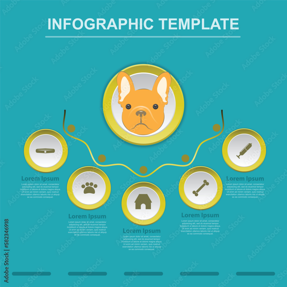 Infographic template for pet. Five steps Mindmap diagram, presentation ...