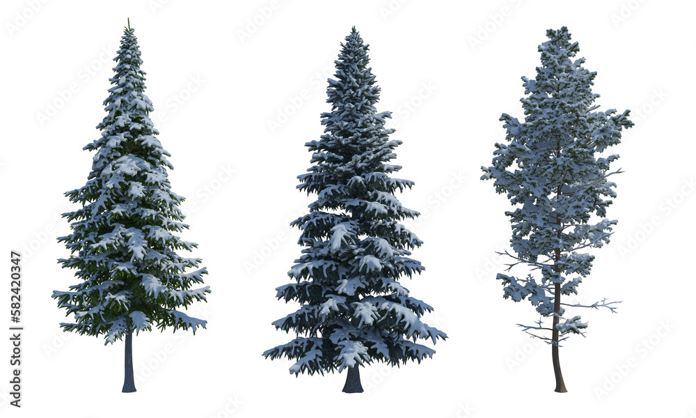 Pine Spruce Fir snow tree set alpha channel png Stock Photo | Adobe Stock