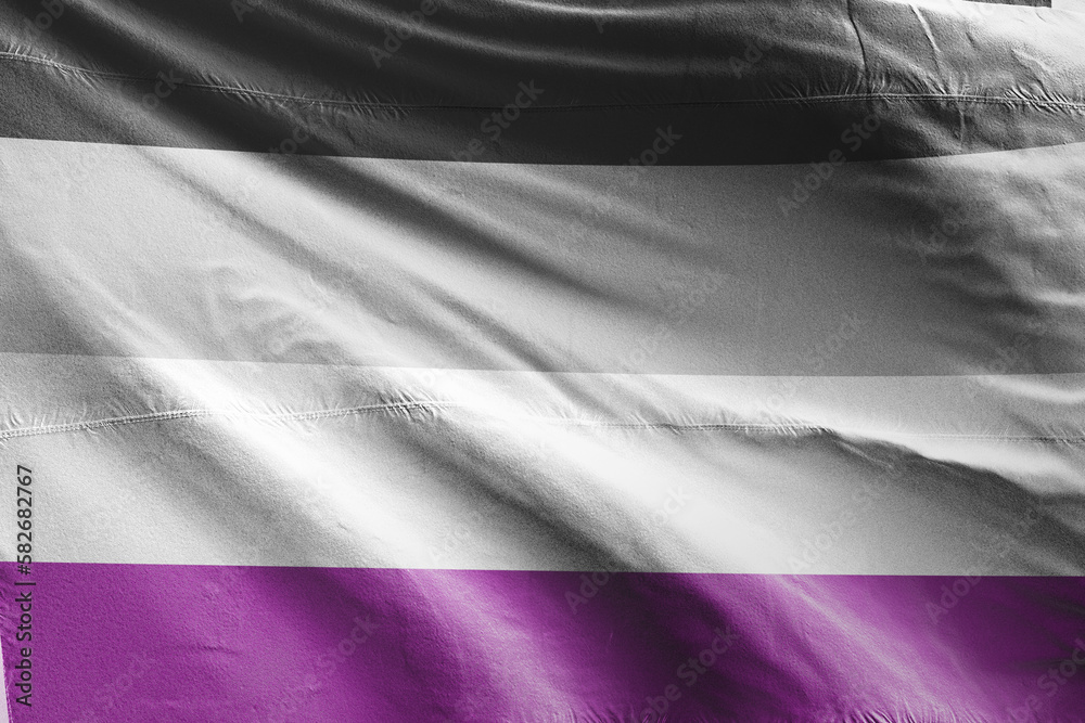 Photo Stock Asexual Pride Flag.ace. 6 April International Asexuality ...