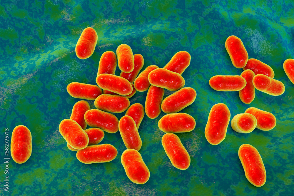 Prevotella bacteria, 3D illustration. Gram-negative anaerobic bacteria ...