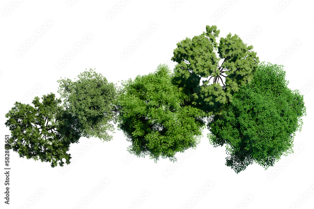 green tree top view on white png landscape plan urban Stock ...