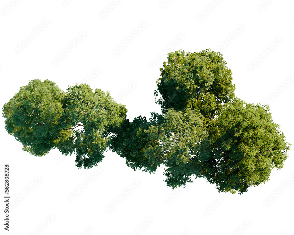 green tree top view on white png landscape plan urban Stock ...