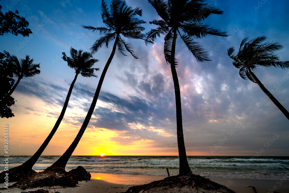 Dawn on a deserted beach with beautiful leaning coconut trees in Phu ...