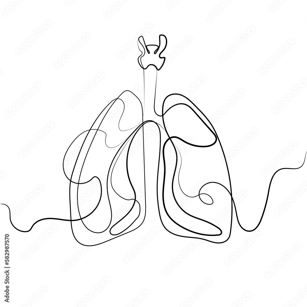 Anatomical human lungs silhouette Continuous line drawing vector ...