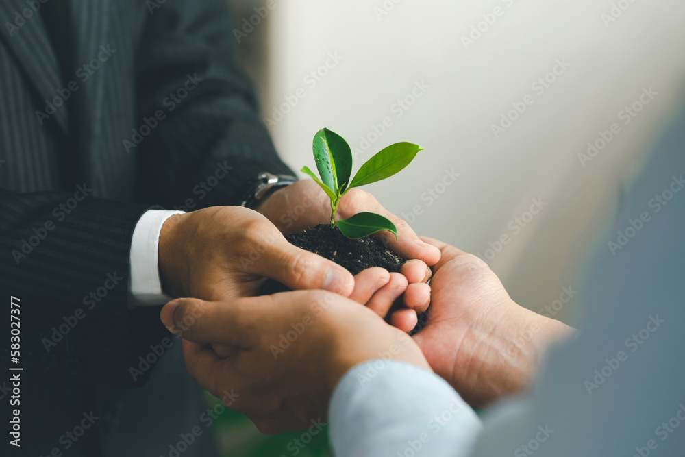 Business hands holding green plants together are the symbol of green ...