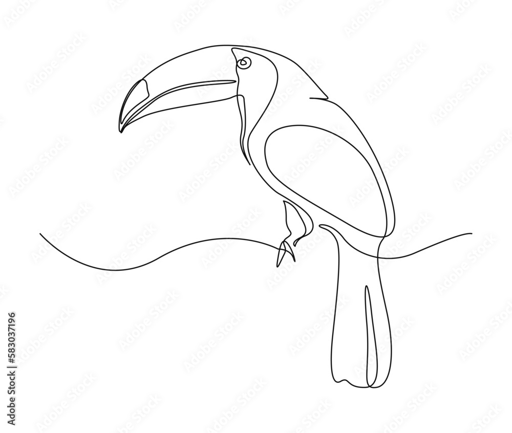 Continuous one line drawing of toucan bird. Simple toucan outline ...
