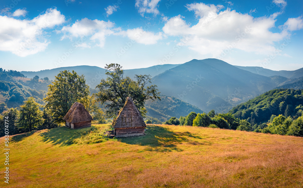 Romanian village with traditional peasant houses. Stunning rustic scene ...