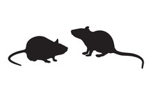 Silhouette Mouse Free Stock Photo - Public Domain Pictures
