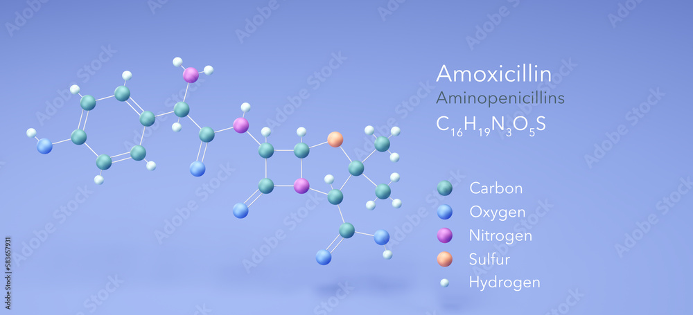 amoxicillin molecule, molecular structures, aminopenicillins, 3d model ...