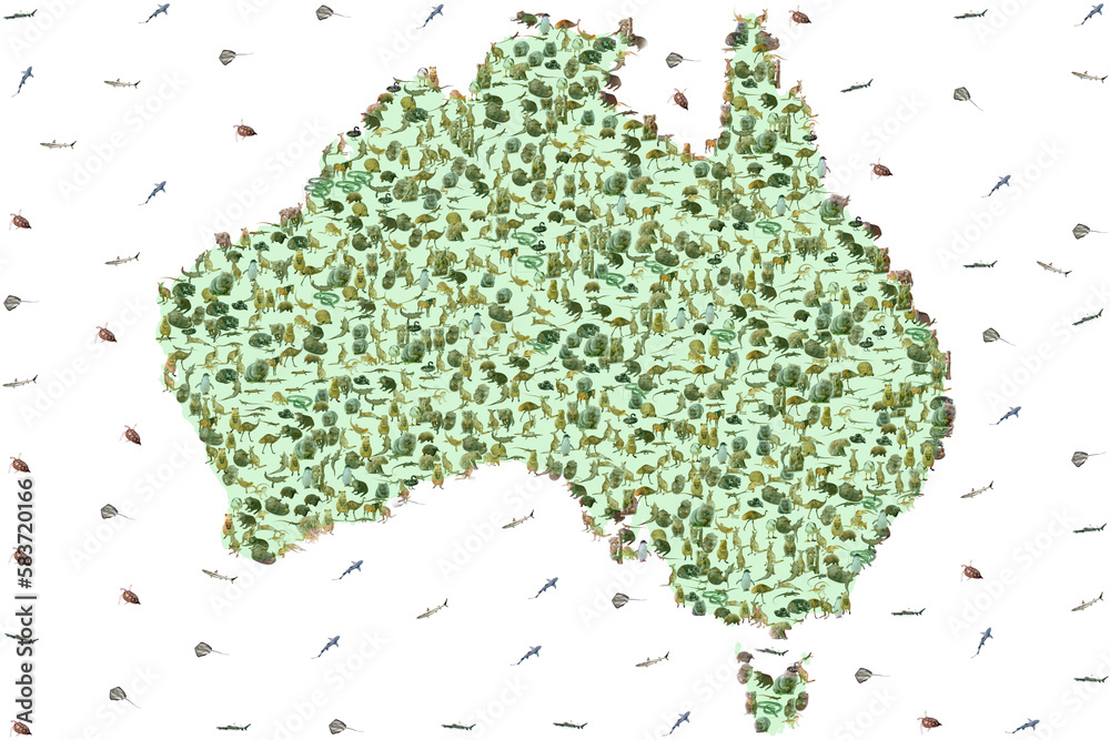 Australian animals in Australian map. Wildlife animals: Emu, Echidna ...
