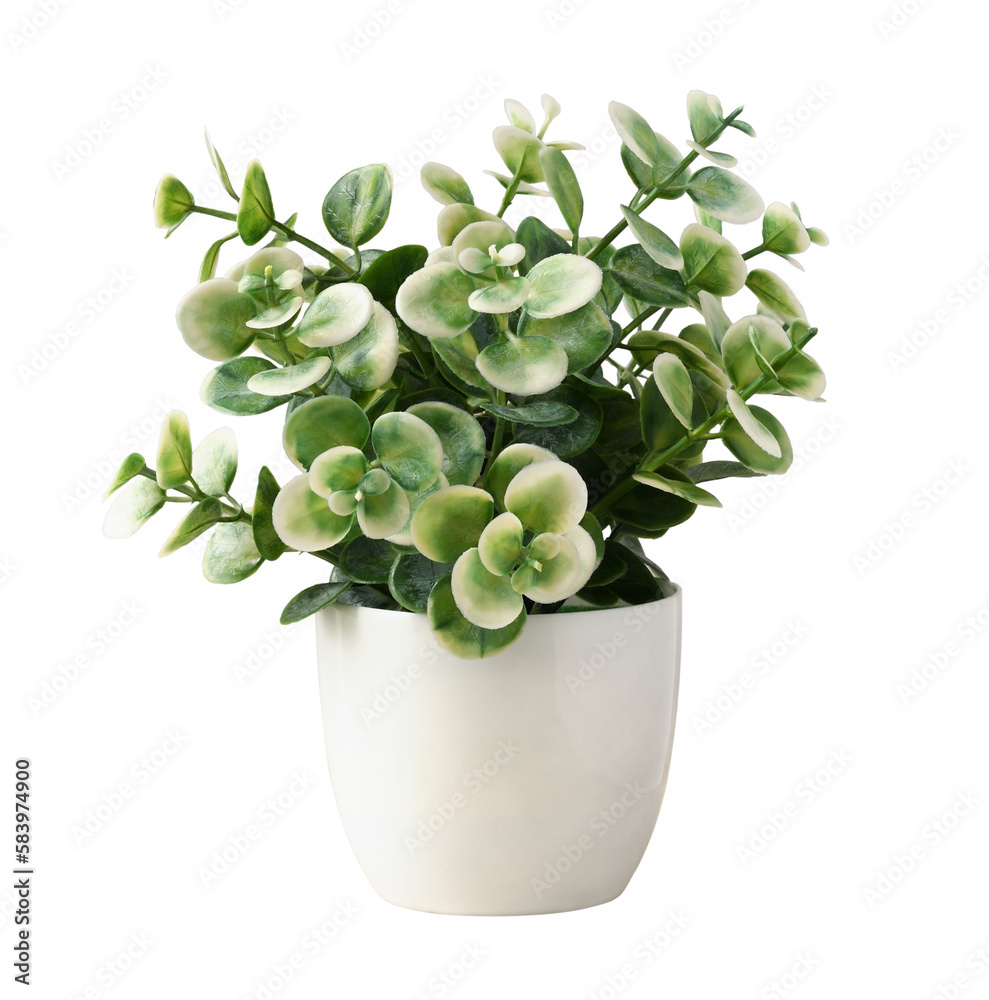 Green and white artificial plant with small leaves in a plastic pot ...