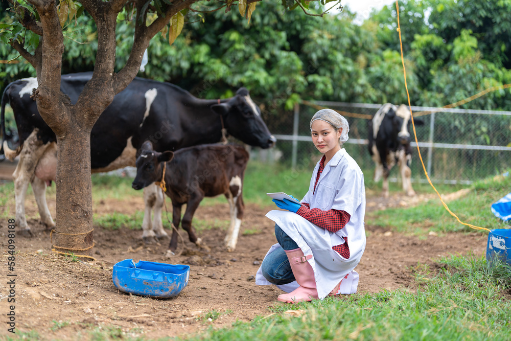 Female veterinarian in a white medical gown stands in a cowshed and ...