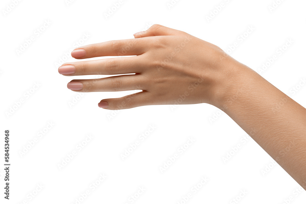 Elegant female hand, perfect skin, manicure. Hand hold. Sign and ...