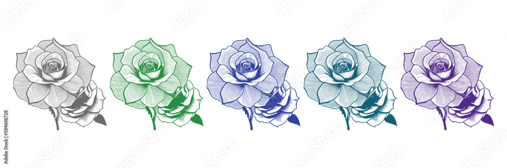 Nice Roses Vector artwork coloring page, coloring book, black outline ...