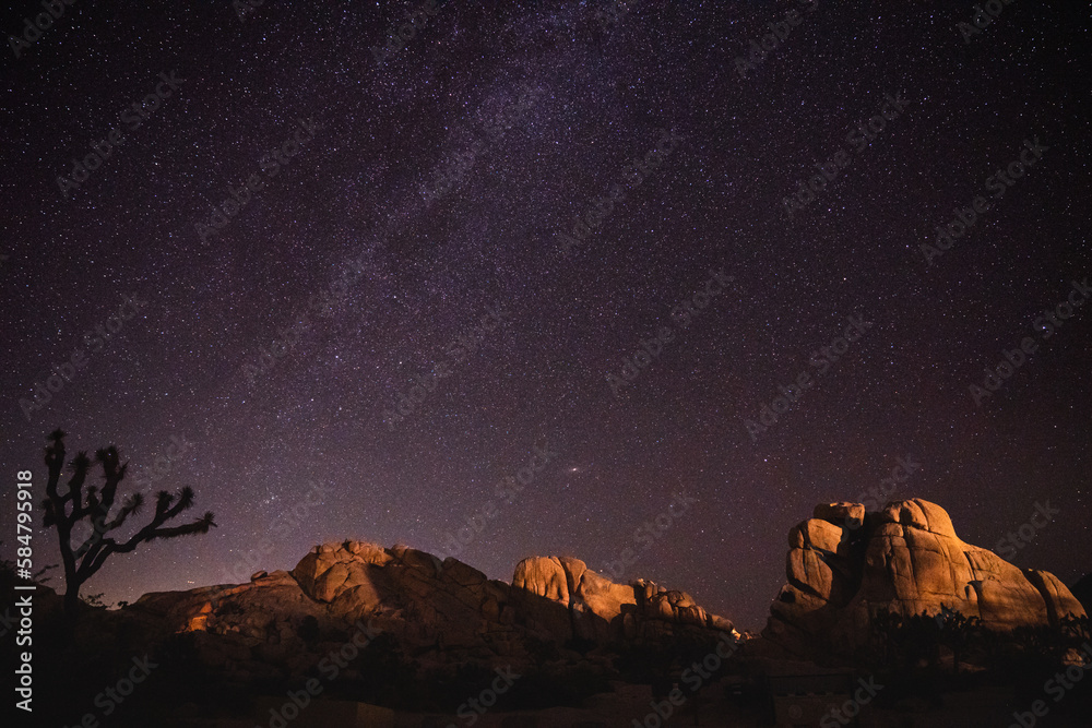 Joshua Tree with Starry Night Sky Stock Photo | Adobe Stock