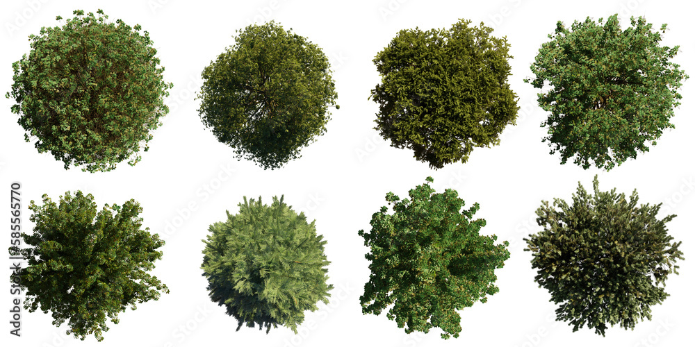 trees from above, collection of lush plants isolated on transparent ...