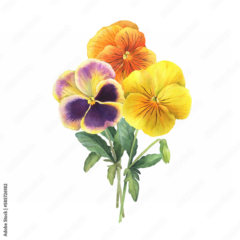 Bouquet with yellow, orange and violet pansy flowers (Viola tricolor ...