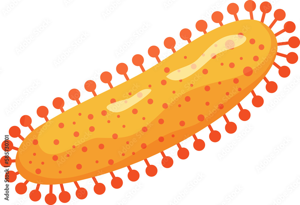 Examples of gram-negative and gram-positive bacteria in magnifying ...