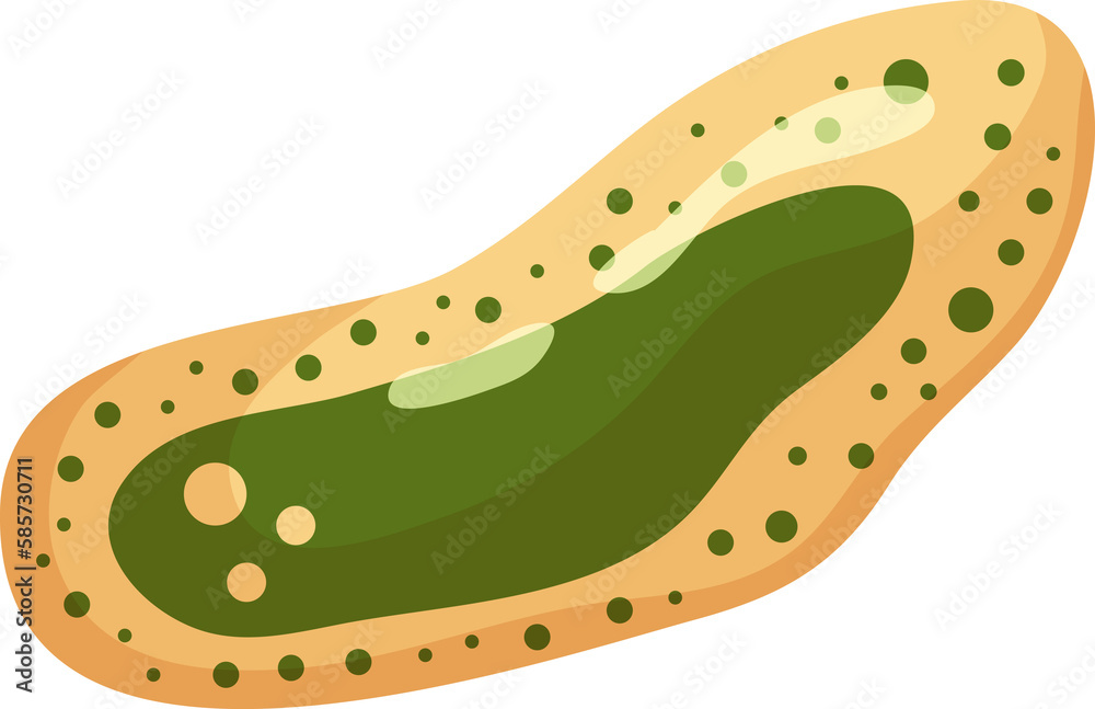 Examples of gram-negative and gram-positive bacteria in magnifying ...