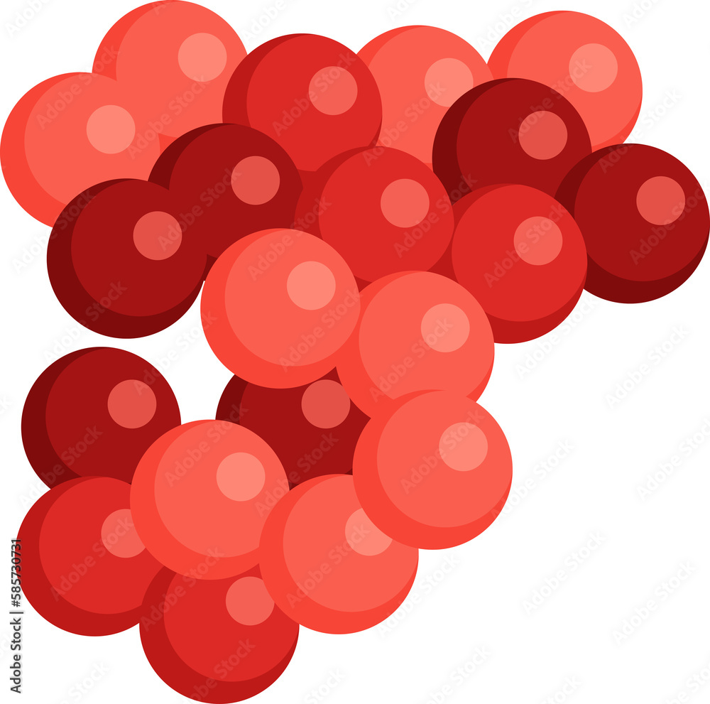 Examples of gram-negative and gram-positive bacteria in magnifying ...