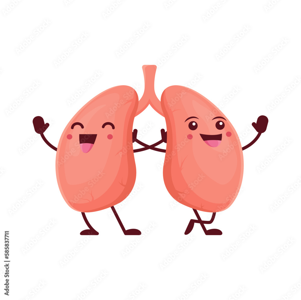 Cartoon lungs human body organ character. Cute vector healthy and happy ...