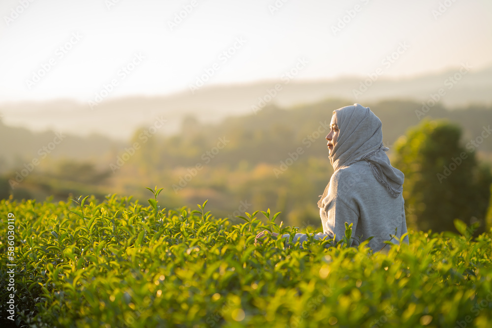 Stock-Foto „Asian Muslim woman wearing hijab looking at the view Choui ...