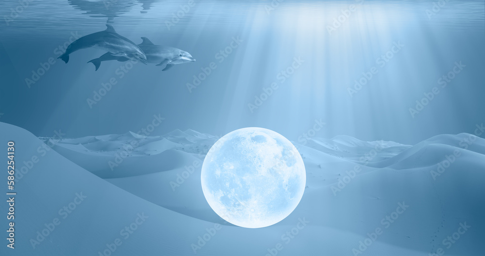Photo Stock Dolphins swimming underwater in the tropical sea-Beautiful ...