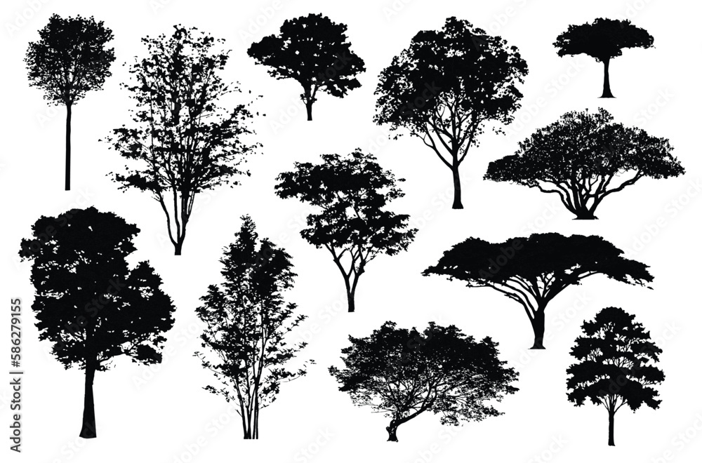 silhouette tree line, Side view, set of graphics trees elements outline ...