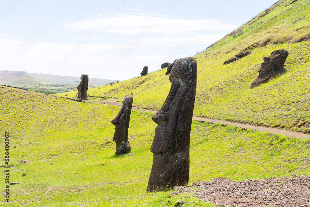 Moai heads on the slope of Rano Raraku on Easter Island (Rapa Nui ...