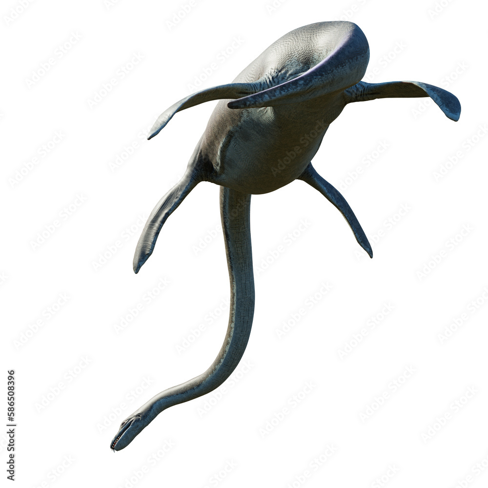 Elasmosaurus, long-necked plesiosaur from the Late Cretaceous period ...