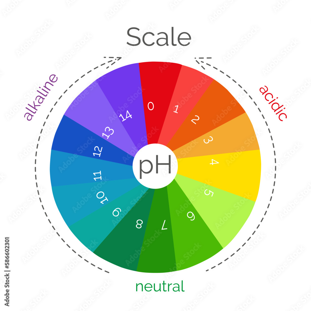 Stock-Vektorgrafik „Round pH scale for measuring acid alkaline balance ...