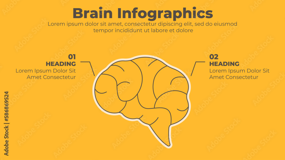 Vector human brain medical infographic presentation template Stock ...