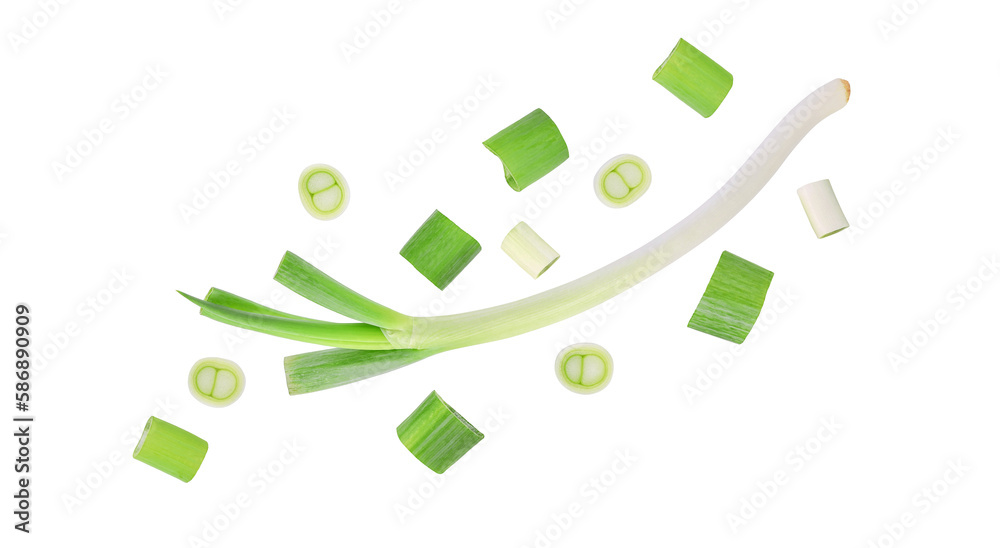 Green japanese onion falling in the air isolated on transparent ...