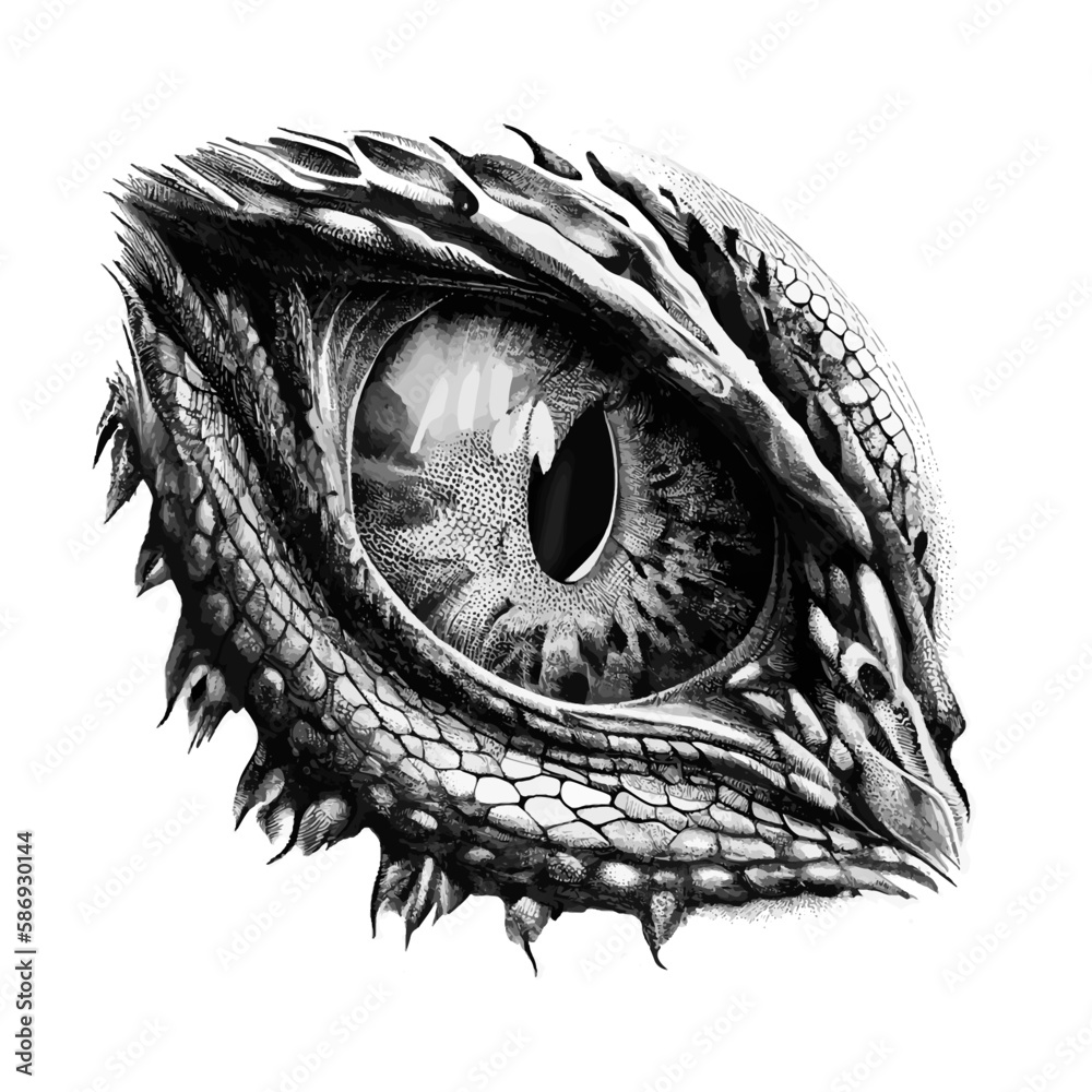 Pencil sketch of monstrous reptilian or dragon eye with intricate ...