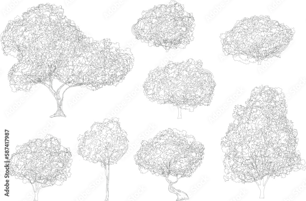 sketch tree line drawing, Side view, set of graphics trees elements ...