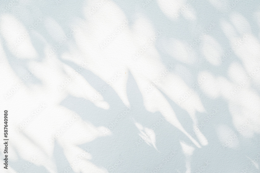 Shadow and sunshine of leaf reflection. Jungle leaves tree gray ...