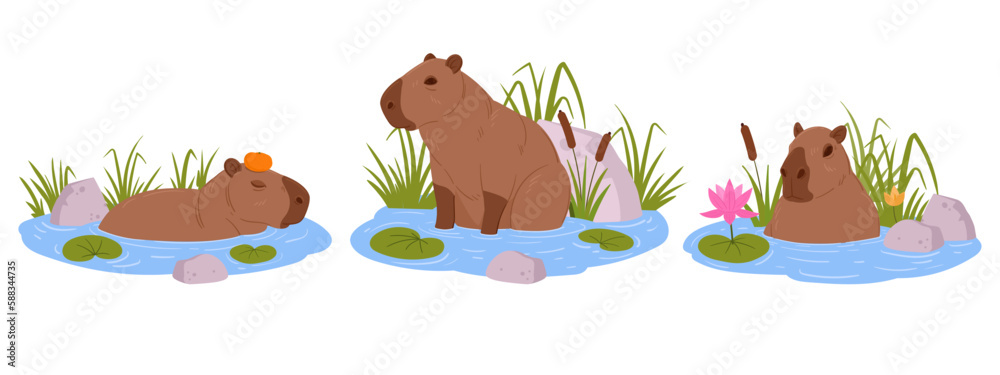 Semi-aquatic capybara. Cartoon cute capybaras sitting in water, funny wild animals. Herbivore ...