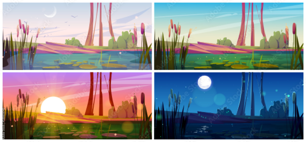 Swamp and cattail near lake, night, morning or sunset vector background ...